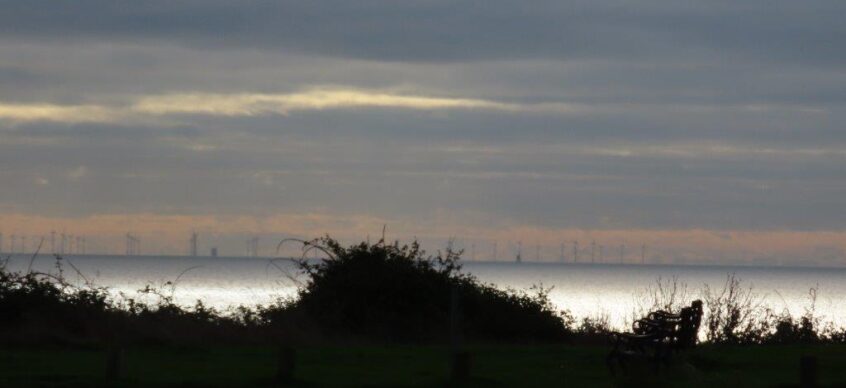 #WildEssexWalks: The Naze and Walton Backwaters | Chris Gibson Wildlife