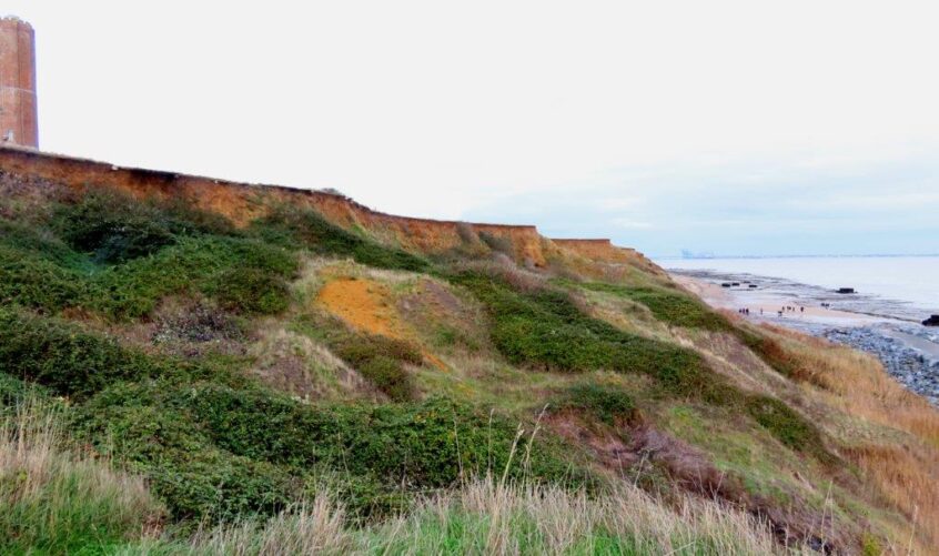 #WildEssexWalks: The Naze and Walton Backwaters | Chris Gibson Wildlife