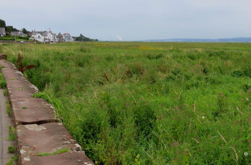 Wandering around the Wirral with a camera | Chris Gibson Wildlife