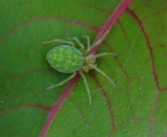 Two days of wildlife, culture and commemoration in and around London ...